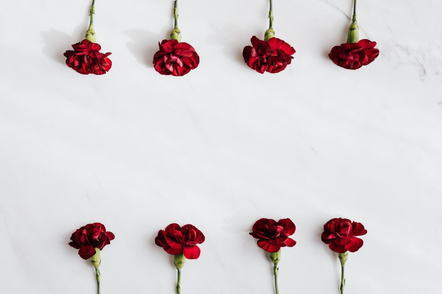 Sangrado vaginal y metrorragia: qué es, causas y tratamiento